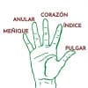 Dedos de la mano en español - Marvel at Spanish