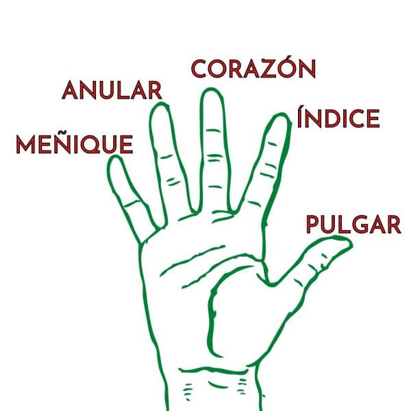 Dedos de la mano en español - Marvel at Spanish